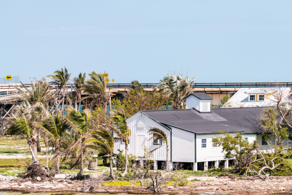Hurricane Shields for Windows & Doors | Storm Protection